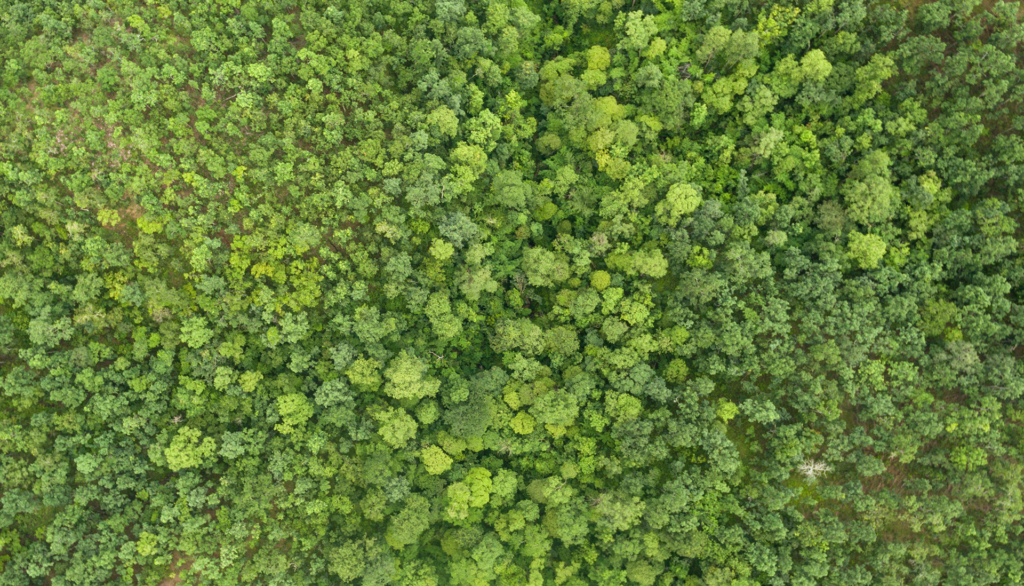 Extended Producer Responsibility (EPR) | Lotus Labels