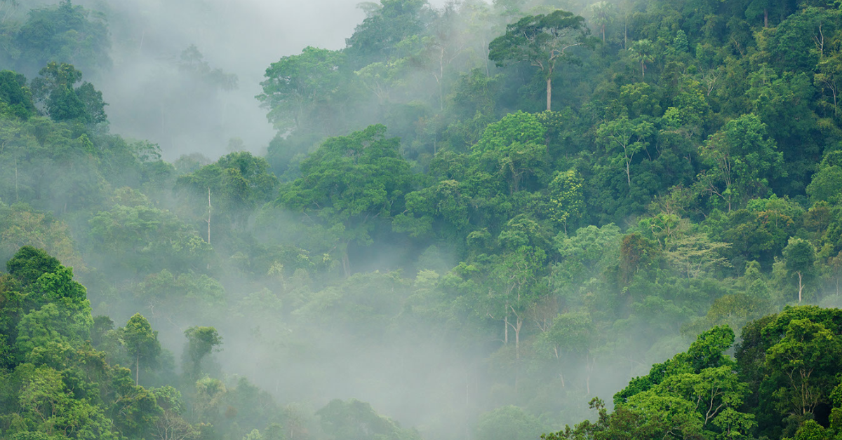 Sustainability | Lotus Labels